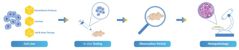 In Vivo Tumorigenicity & Oncogenicity Studies - ViruSure - Cell lines